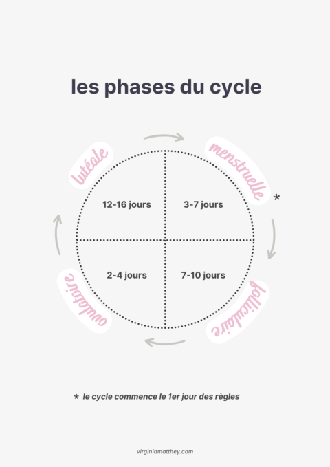 Les 4 phases du cycle menstruel expliquées simplement